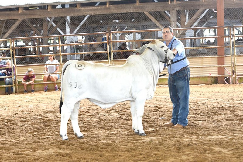 2018 Wins – Bulls Eye Ranch